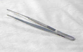 Buy Dissecting Forceps - Blunt, Straight | Science Stuff